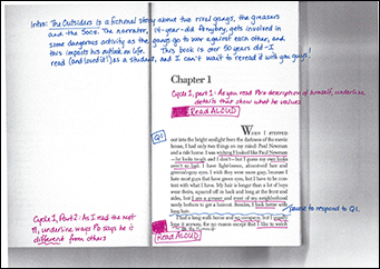 The Outsiders_text pp. 1-6_Preparation | Teach Like a Champion