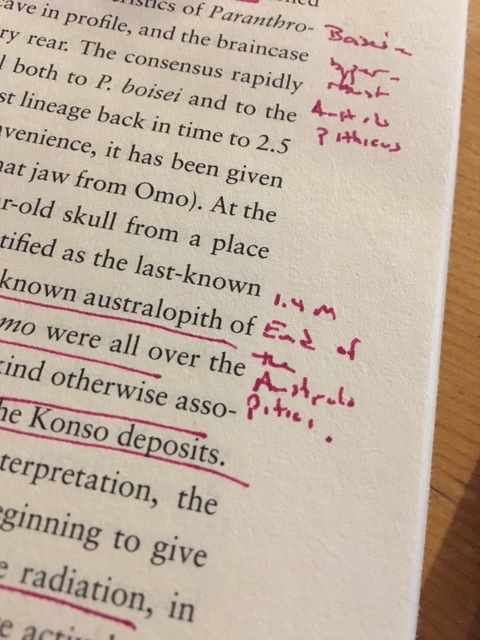 Margin Notes Teach Like A Champion