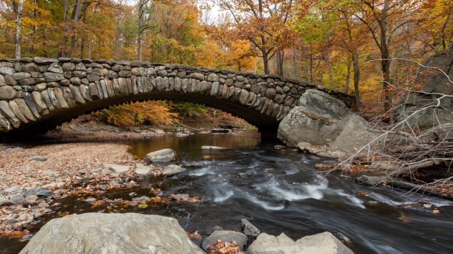 Fluency is the Bridge to Comprehension: Video from Amplify’s “Science ...